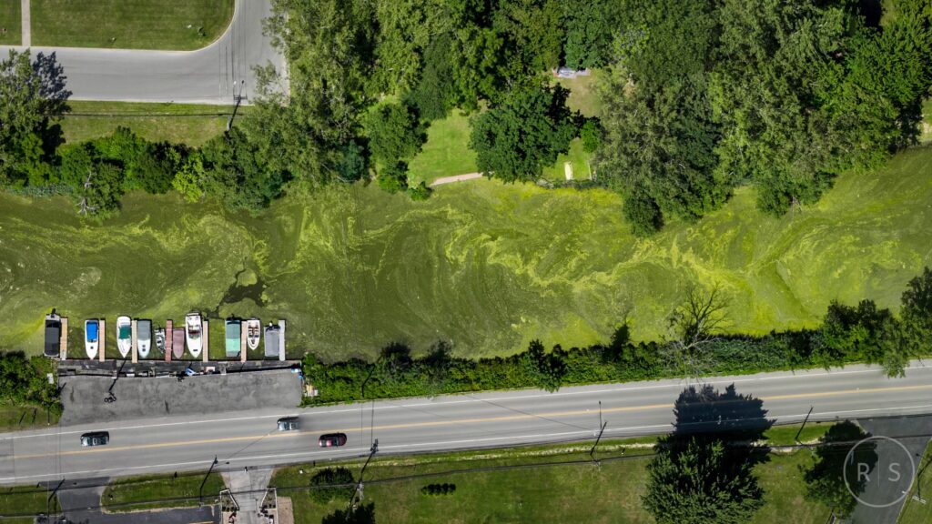 Harmful Algal Blooms - Buffalo Niagara Waterkeeper