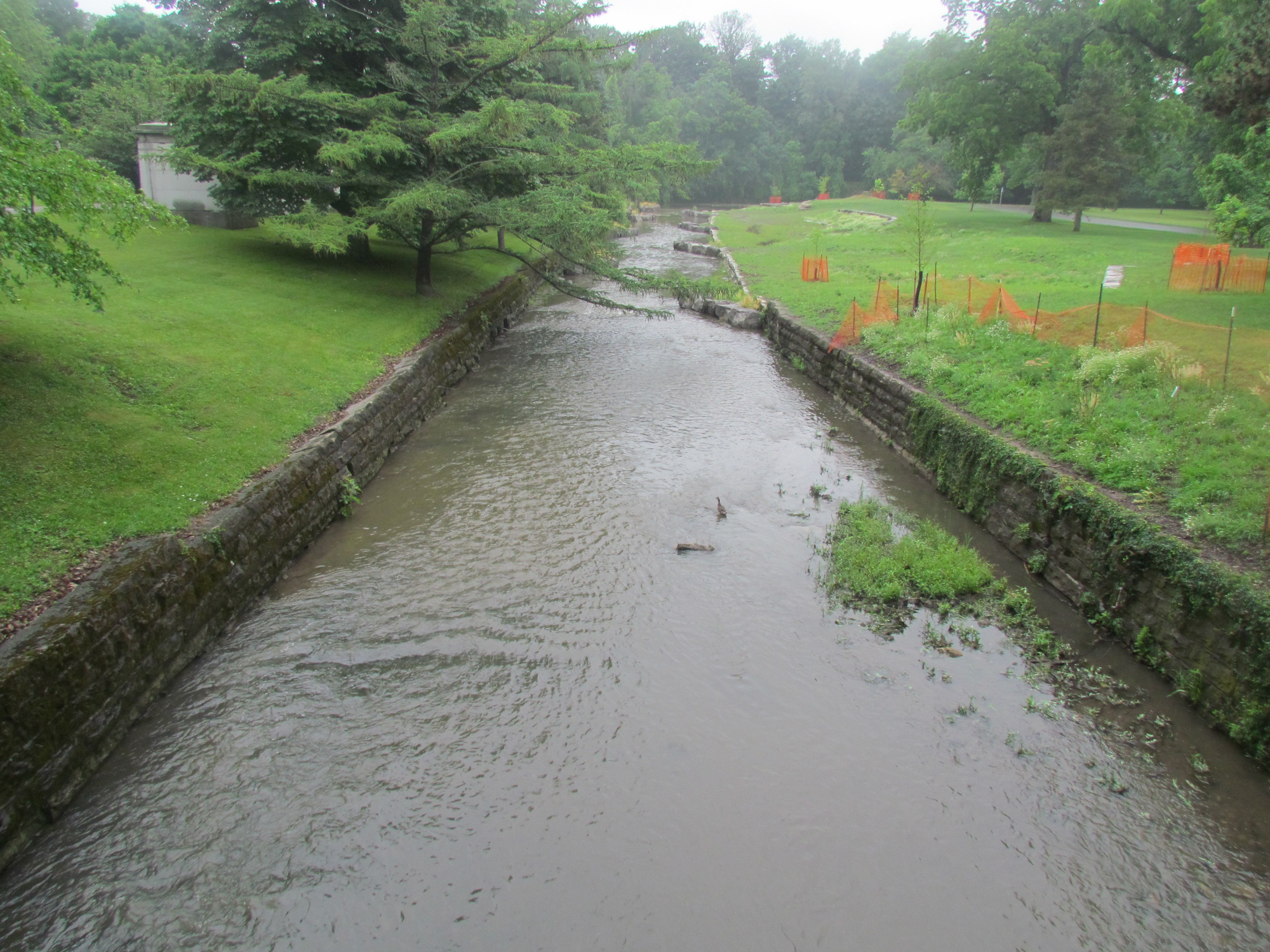 Walking Along Scajaquada Creek - Buffalo Niagara Waterkeeper