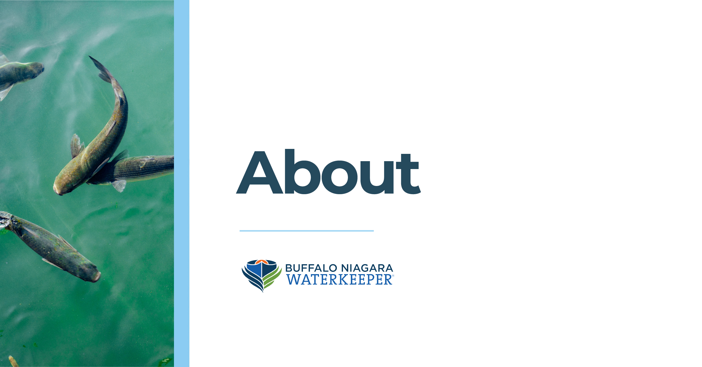 About - Buffalo Niagara Waterkeeper