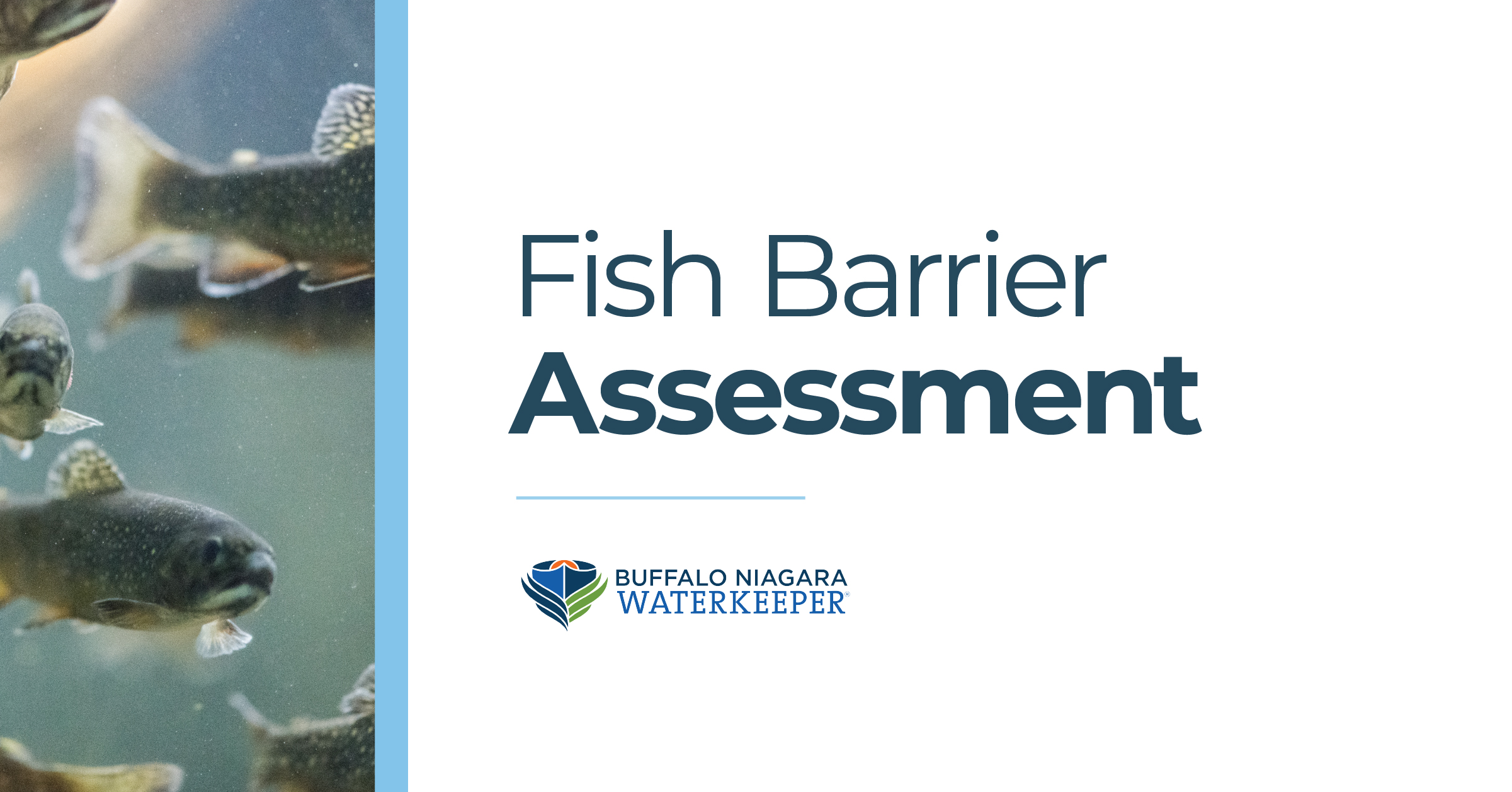 Fish Barrier Assessment - Buffalo Niagara Waterkeeper