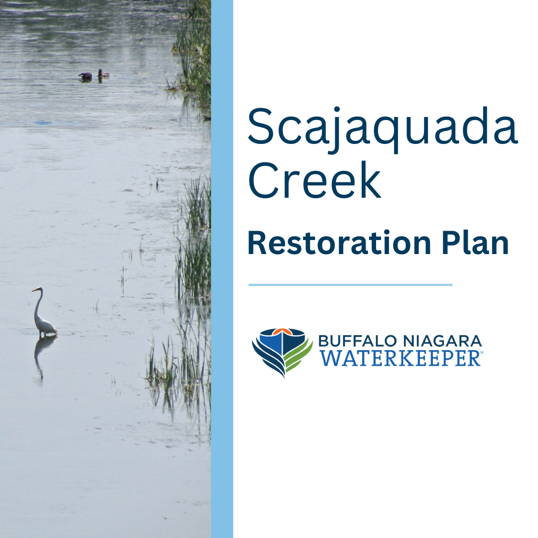 Community-Driven Scajaquada Restoration Planning - Buffalo Niagara ...