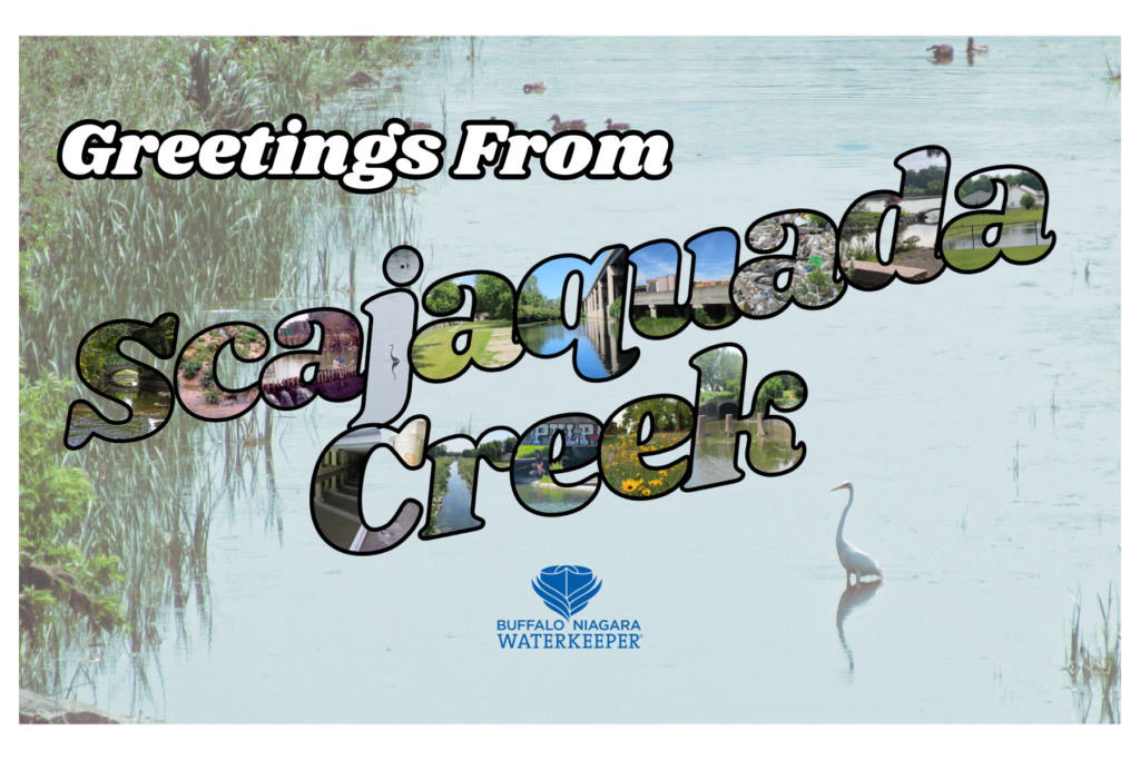 Community-Driven Scajaquada Restoration Planning - Buffalo Niagara ...