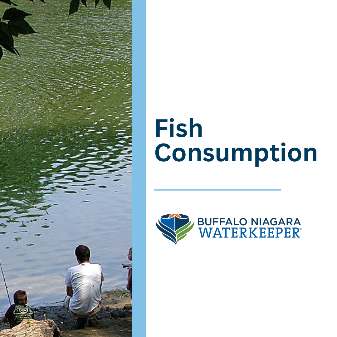 Fish Consumption - Buffalo Niagara Waterkeeper